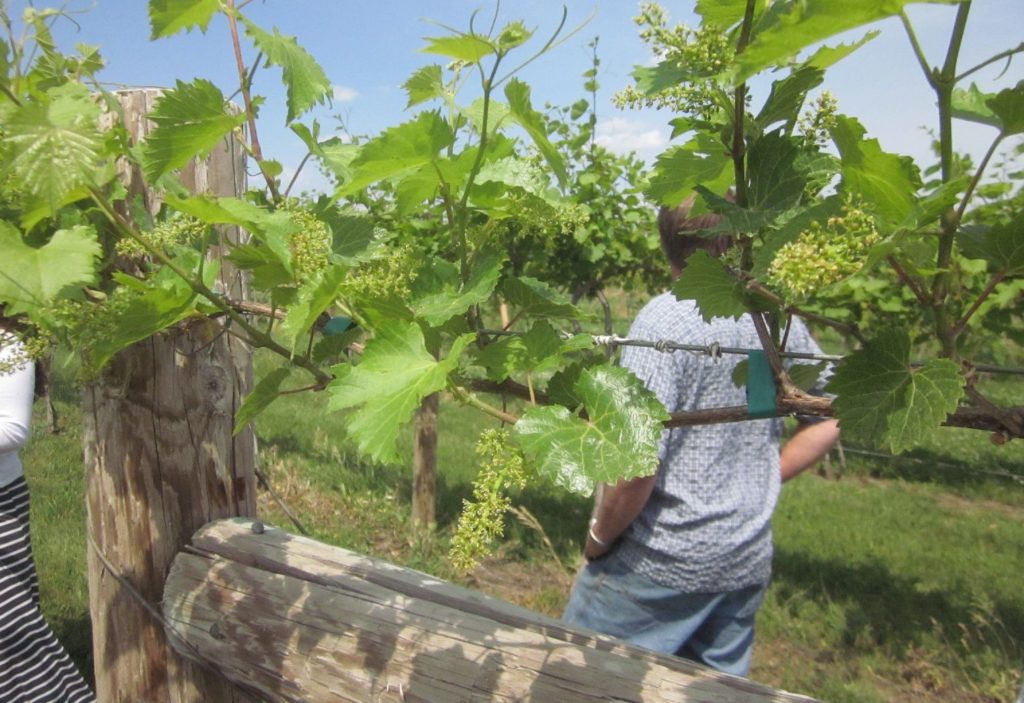 Living 43 North – Exploring the 43rd parallel